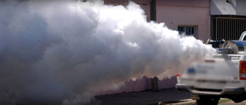 Latest Upcoming Fogging Activities